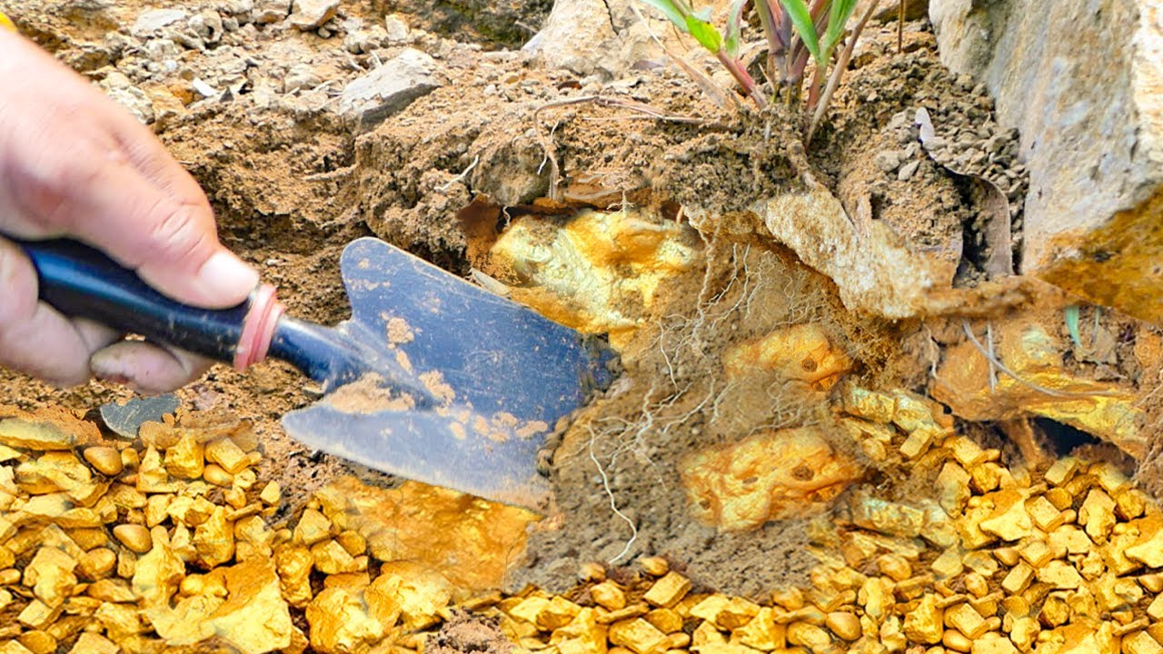 Treasure Hunting! Searching and Digging up for Huge Nuggets of Gold ...