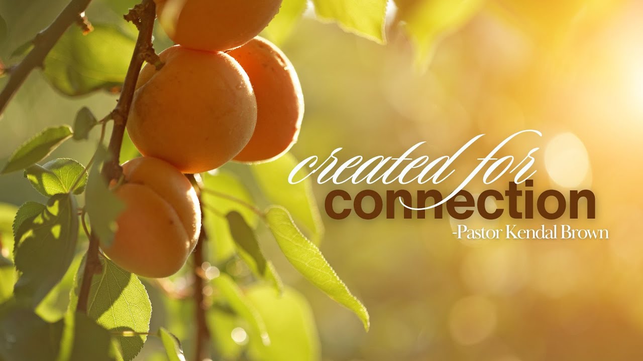 Created For Connection! Pastor Kendal - YouTube