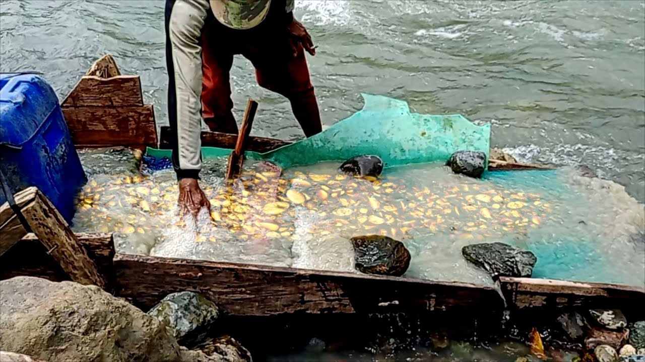 METODE TERBARU,,MENCARI EMAS DI ALIRAN SUNGAI~SYSTEM MENYARING EMAS ...