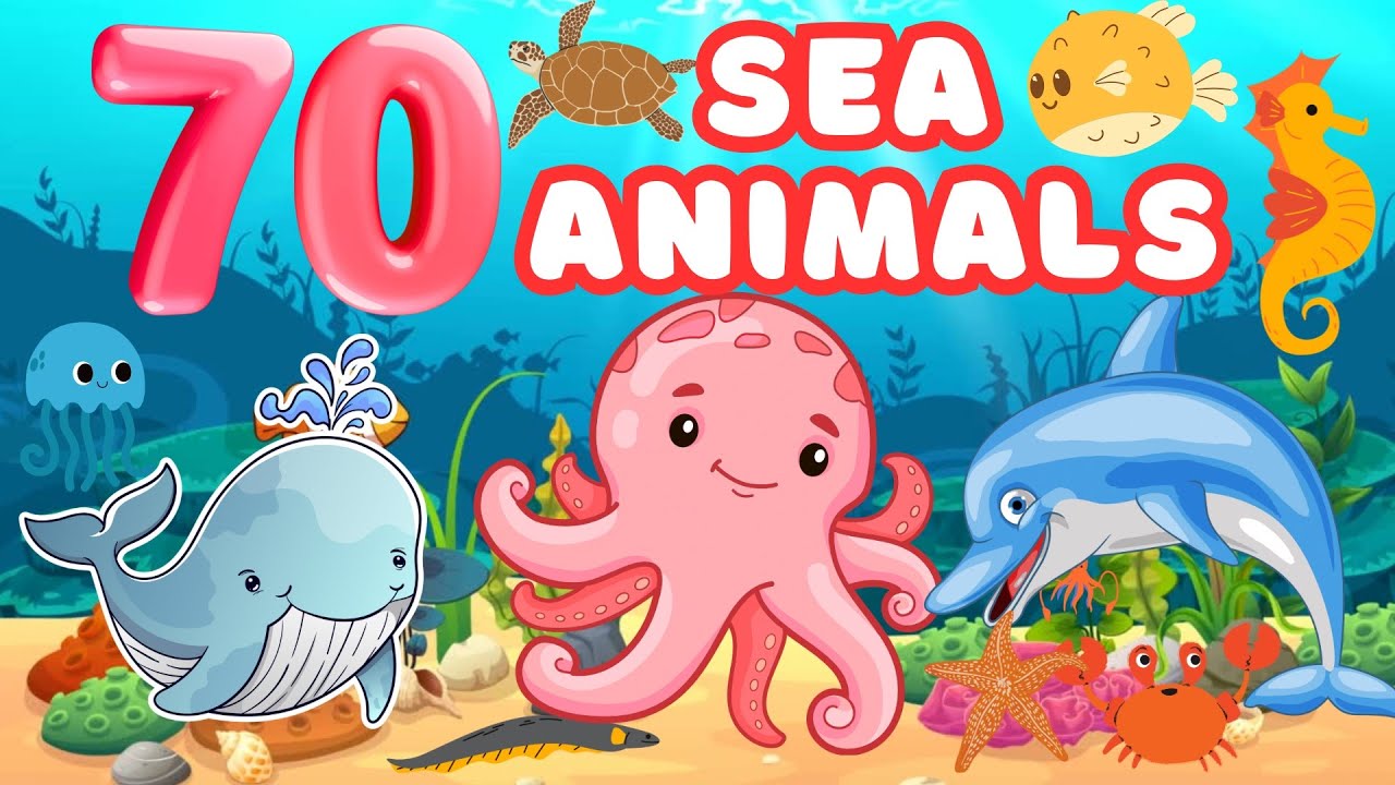 70 Sea Animals for Kids | Learn Names and Fun Ocean Facts! - YouTube