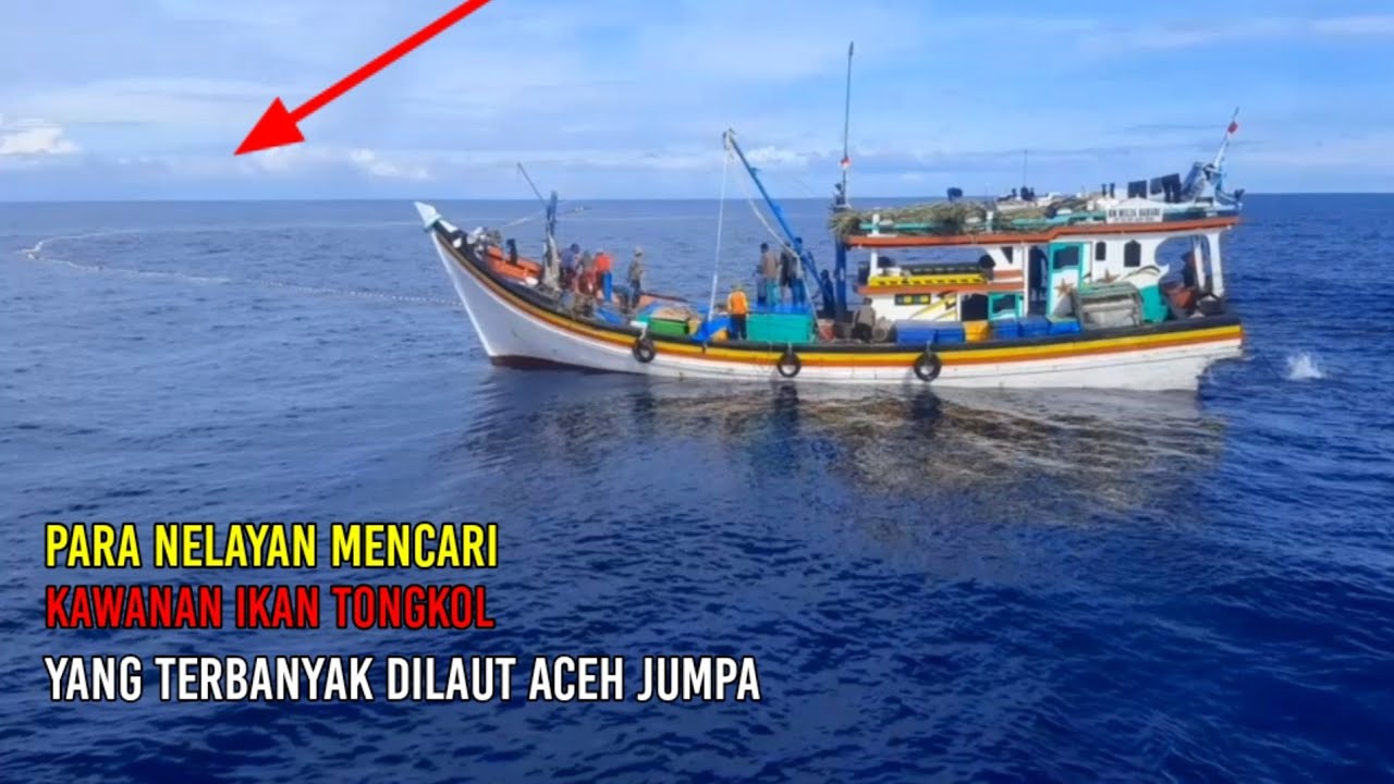 para nelayan mencari kawanan Ikan terbanyak - YouTube