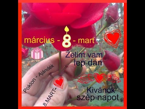 Za dan žena - 8.- matr - Nőknapjára