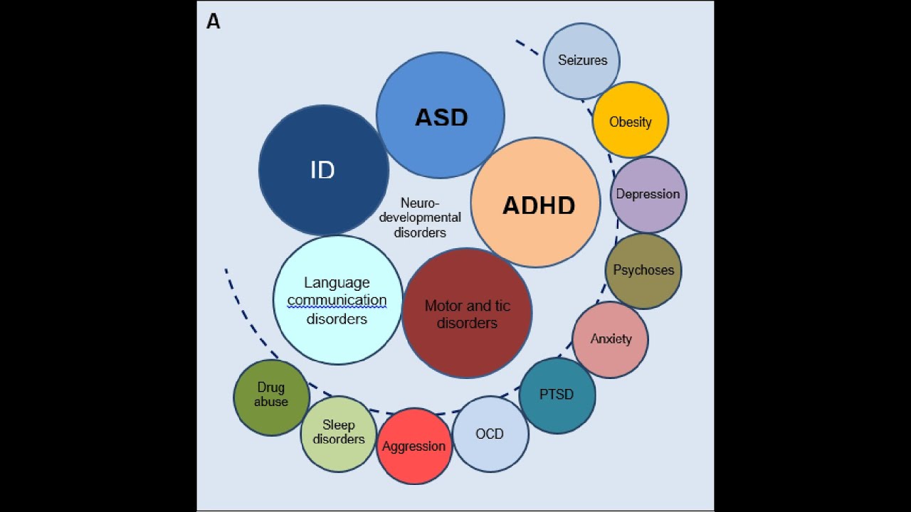 Neurodevelopmental Disorders (NDD) - YouTube