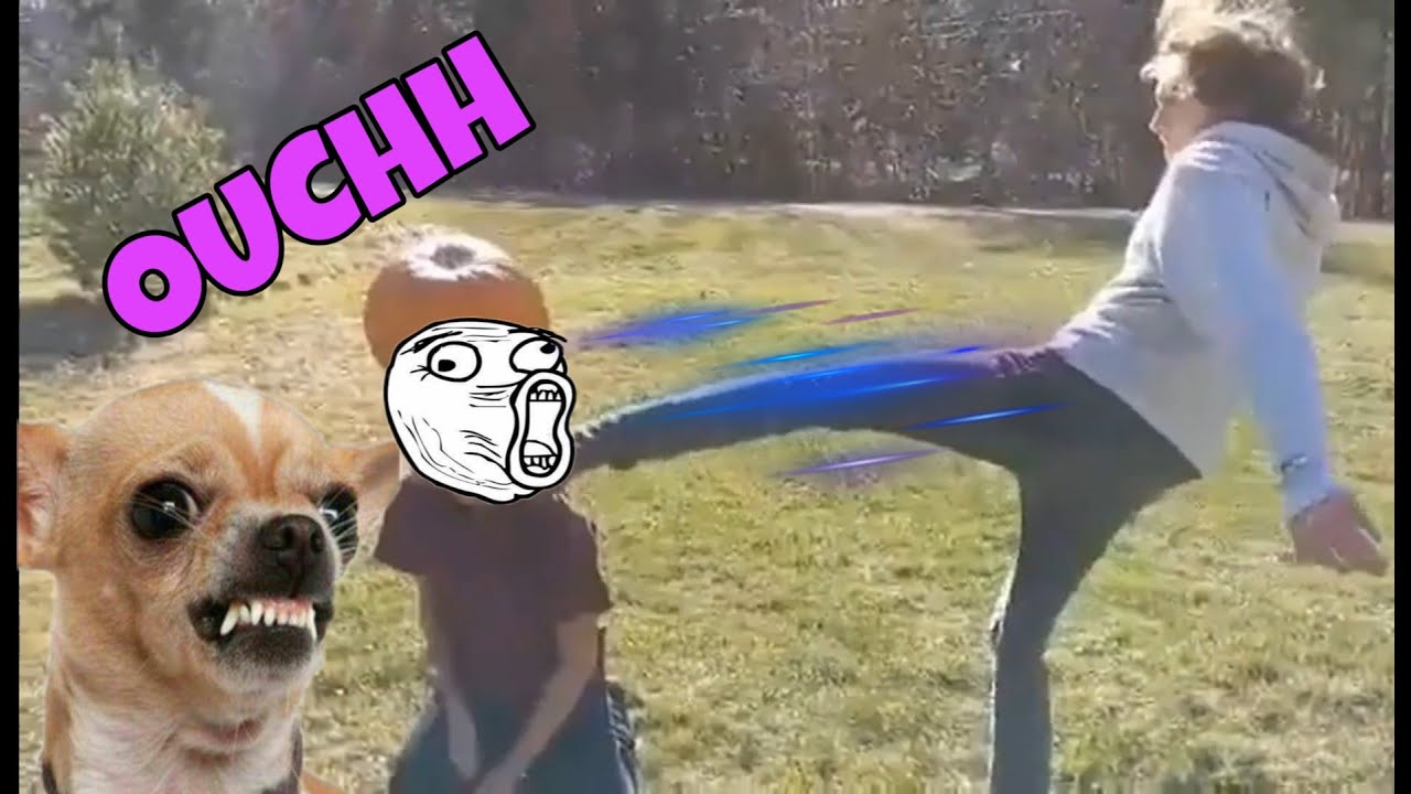 INSANE INSTANT KARMA FAILS compilation #5 - YouTube