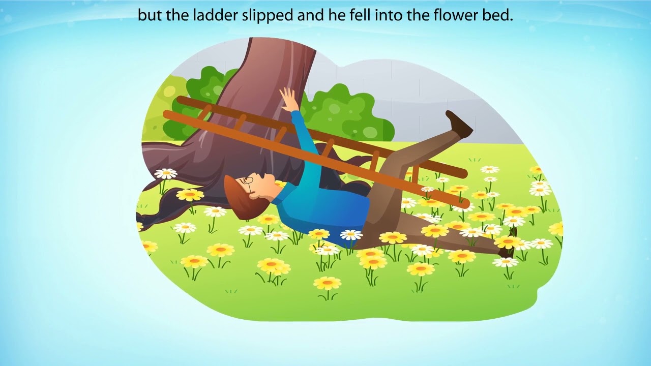 NCERT Class 7 English Honeycomb Chapter 7 Dad And The Cat And The ncert-class-7-english-honeycomb-chapter-7-dad-and-the-cat-and-the