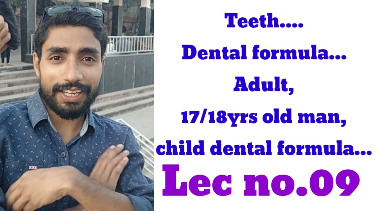 DENTAL FORMULA FOR ADULT,17/18 AND CHILD???LEC NO.09 - YouTube