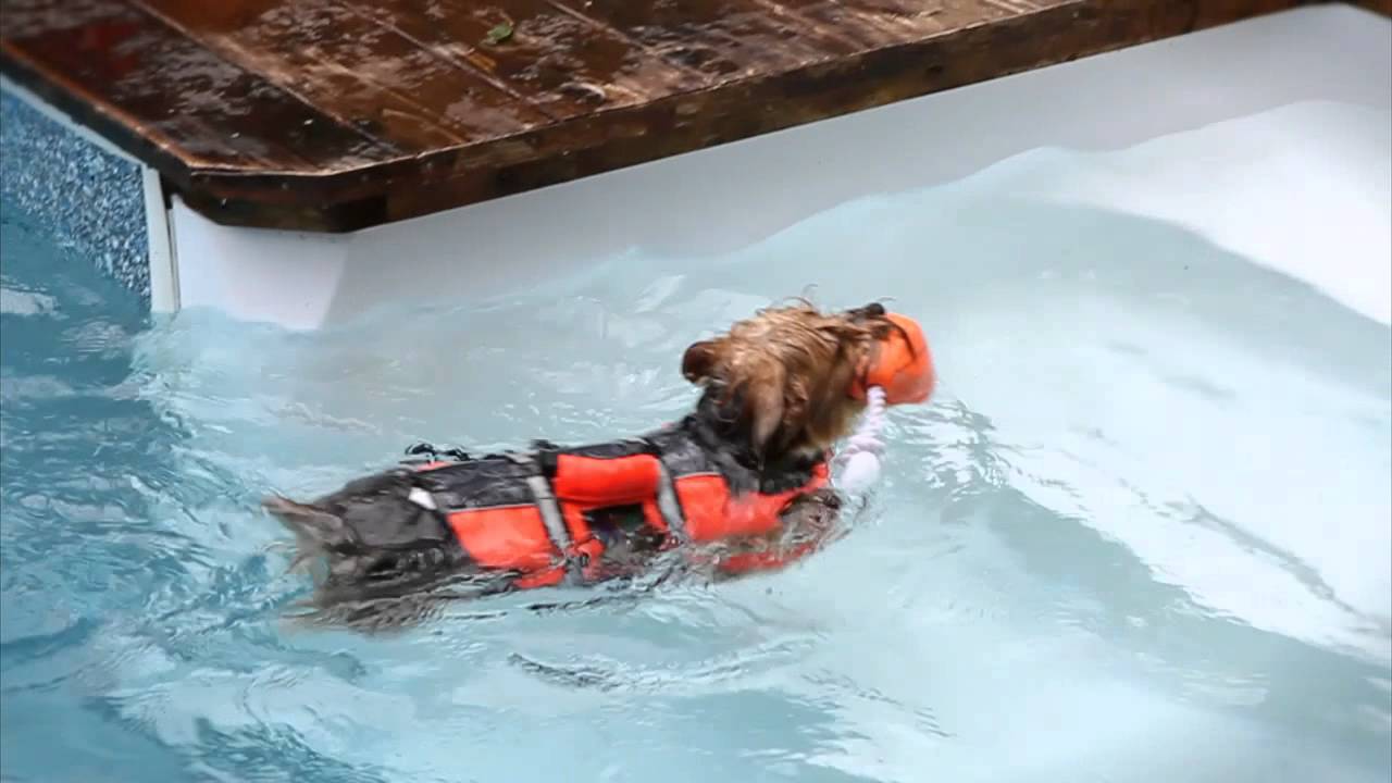 IZZY SID SWIMMING 2012 - YouTube
