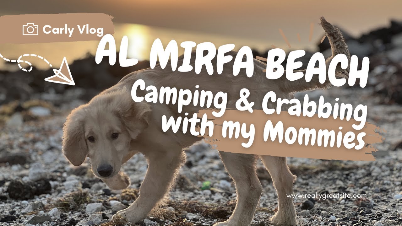 MIRFA, ABU DHABI (CAMPING + UNEXPECTED CRABBING) WITH CARLY - The ...