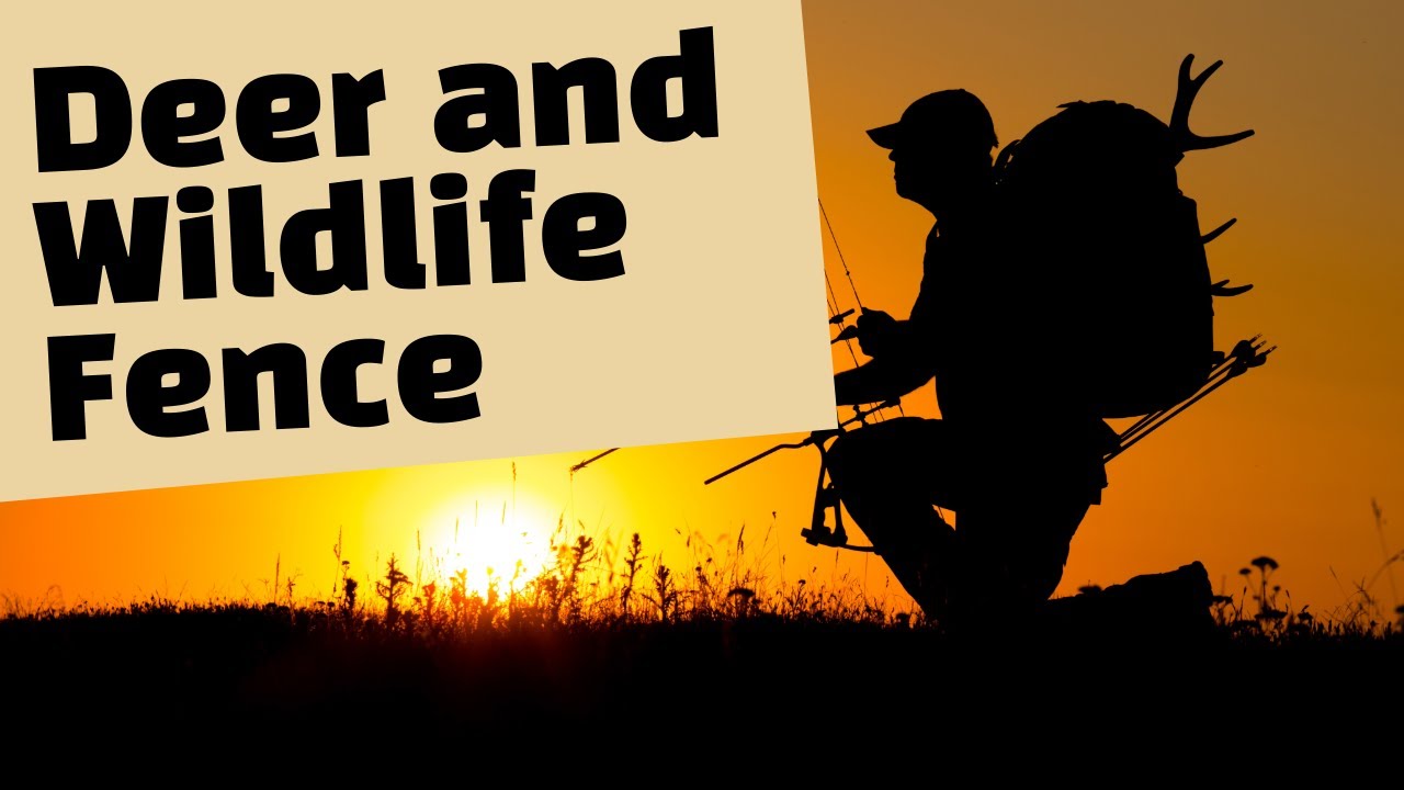 How to Build a Gallagher Deer & Wildlife Feeder or Beehive Fence - YouTube