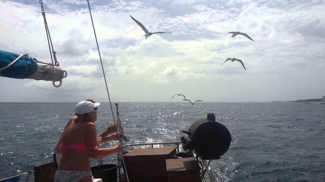 Captain Morgan Charters SXM sailing adventure(3) - YouTube