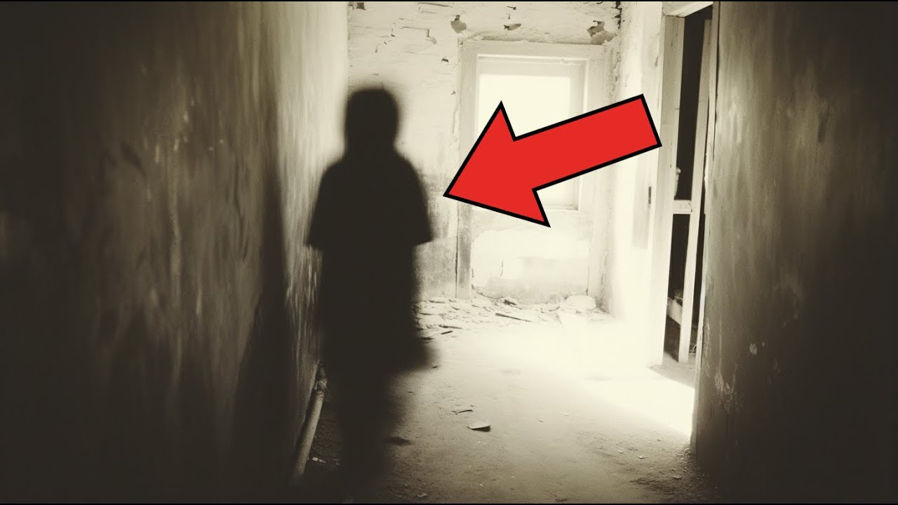 Shadows in the Dark: Top 10 Real Shadow Figures - Proof of the ...