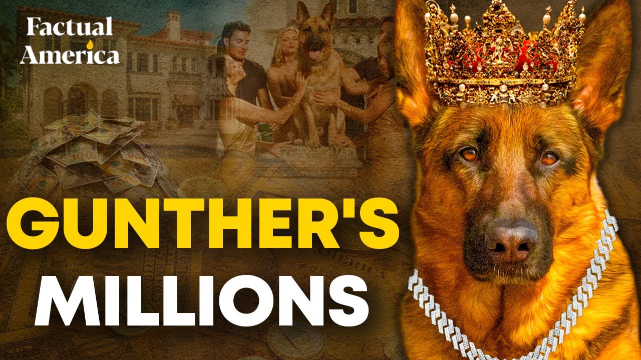Gunther's Millions (2023 Film) | Netflix Documentary - YouTube