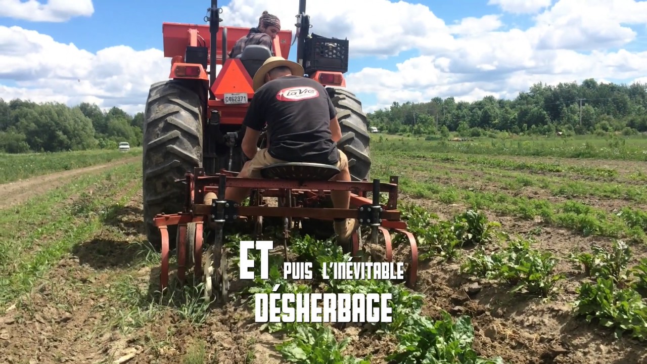 Une saison sur une ferme maraîchère bio - YouTube