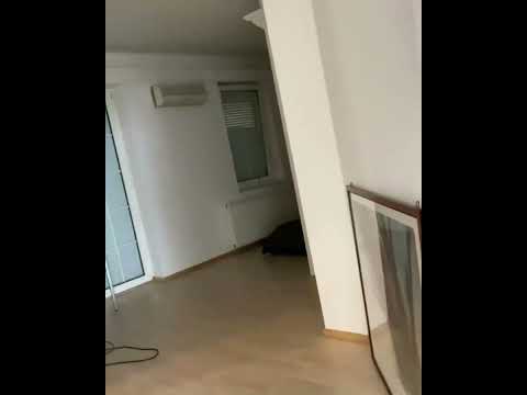 jia lissa hot 🔥 scene