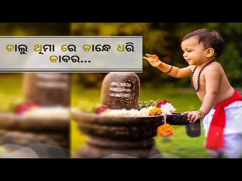 Feel My Love Bol bama//Sambalpuri//Status//Video //Umaknat Barik//Song ...