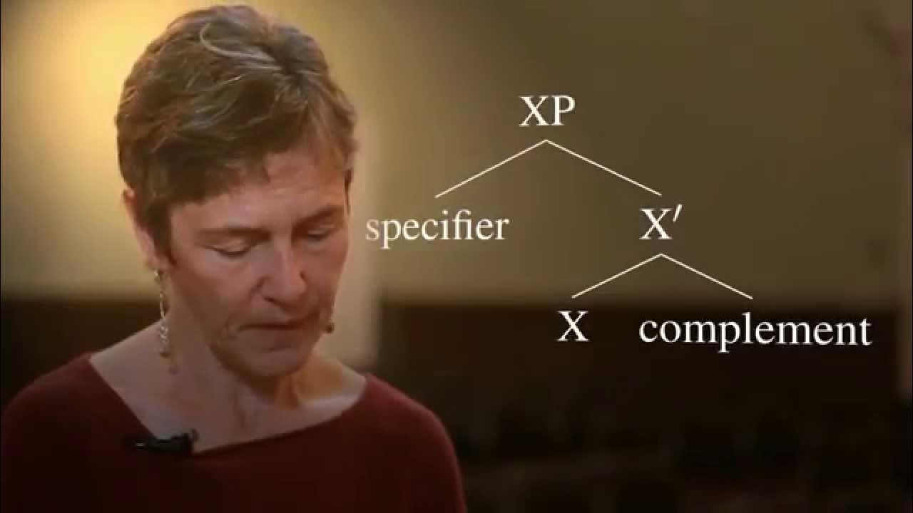 Generative Syntax 4.1: The X-bar Schema - YouTube