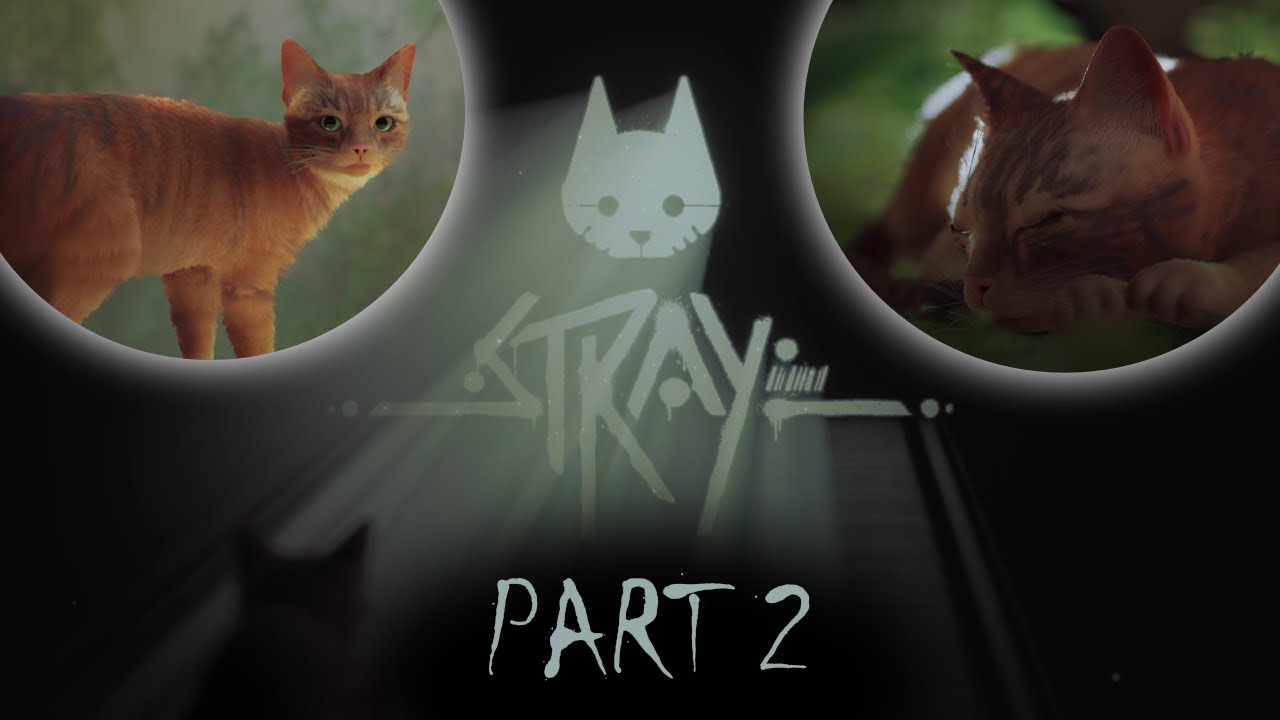 STRAY | PART 2 | PURRINATOR FINDS ALIENS???? - YouTube
