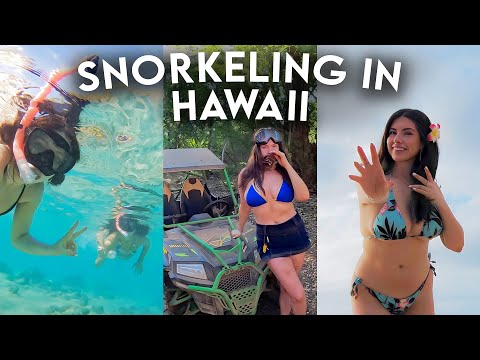NEW! First Trip of 2023 | Calgary to OAHU, Hawaii | TRAVEL VLOG | Lexi Winters