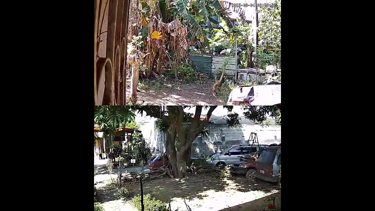 4MARCH2025/9:34AM/BUMIBILI MANGGA - YouTube