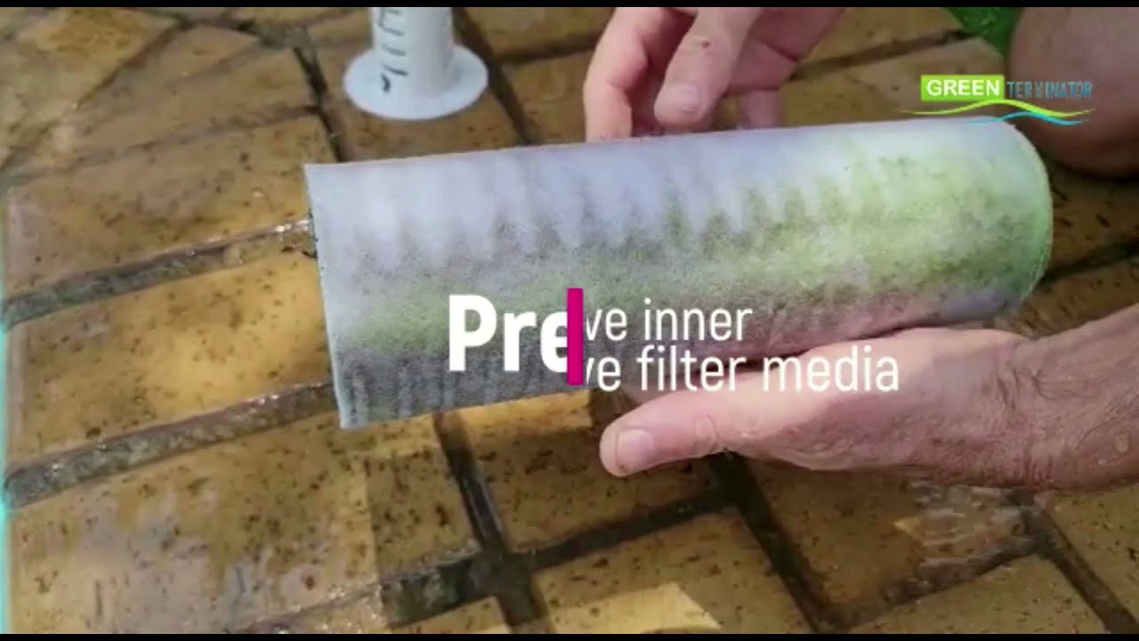 Pool Green Terminator - YouTube