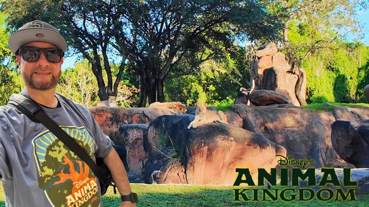 Avatar: Flight of passage experience and Finally get to see some Lions ...