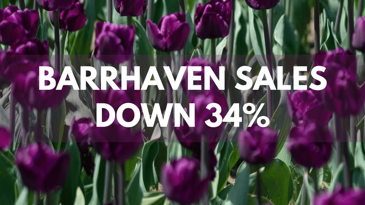 Barrhaven Real Estate Market - July 2022 - YouTube