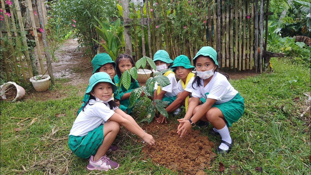 Sinamahan ko SI Ate Althea Nag Tree planting mga Girl Scouts - YouTube