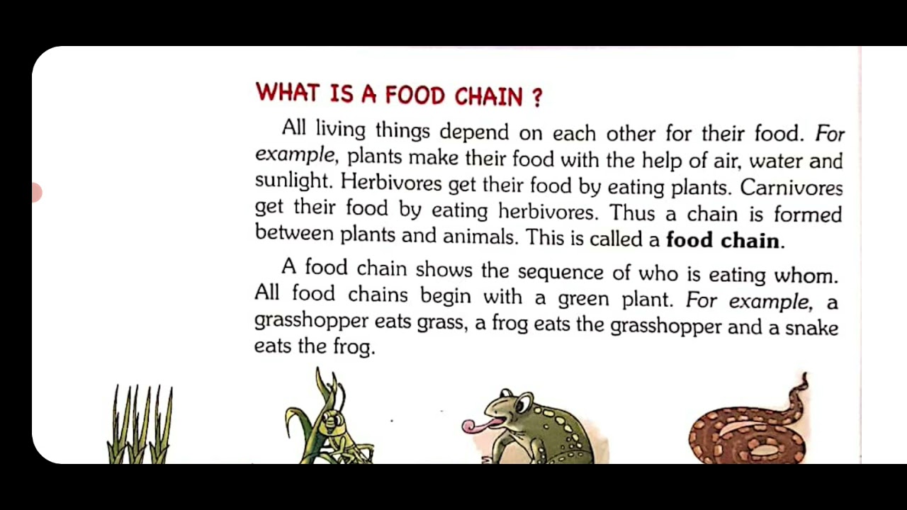 Part-4 of the chapter-1 Explanation of What is a food chain? class-3 (M ...