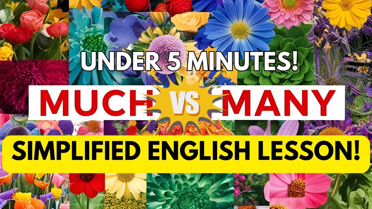 How to use 'Much' and 'Many' correctly in English conversations ...