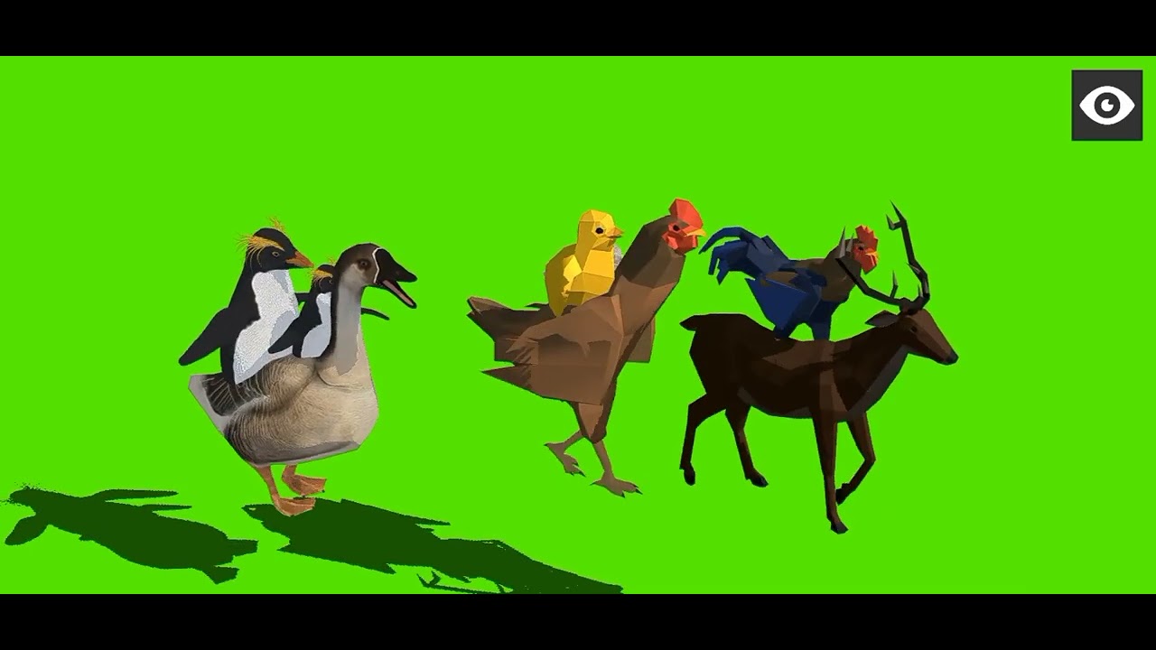 Animal cartoon network animasi animal attack free download - YouTube