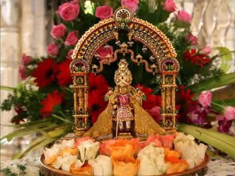 BAPS Swaminarayan Dhun Jaydeep Swadia - YouTube