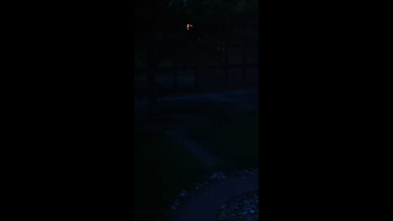 Beautiful fireflies in Missouri - YouTube