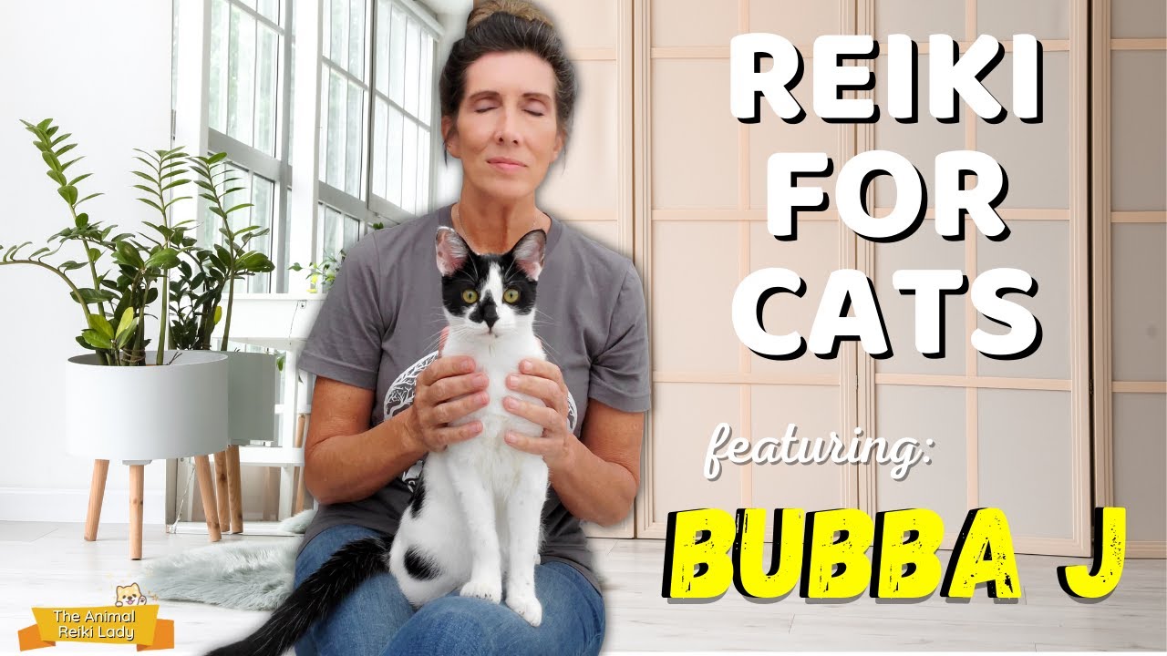 Reiki for Cats - Featuring Bubba J - YouTube