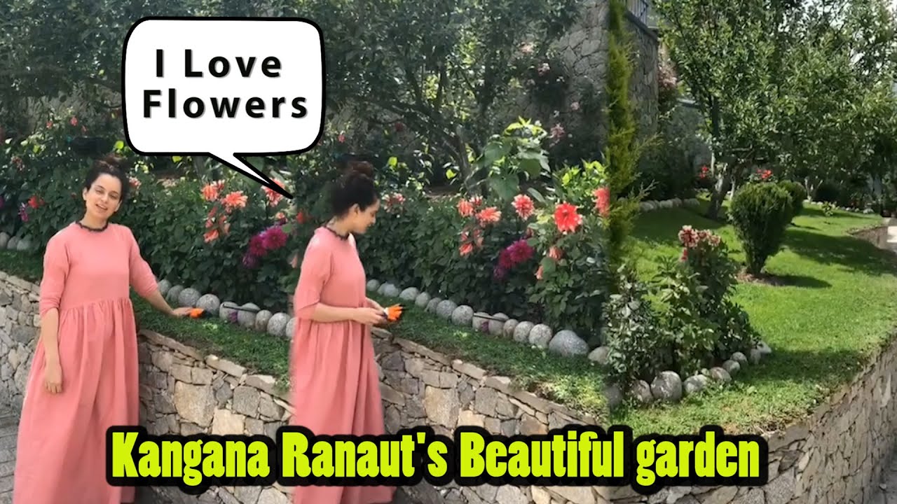 Kangana Ranaut Plants Saplings In Her BEAUTIFUL MANALI GARDEN On Her ...