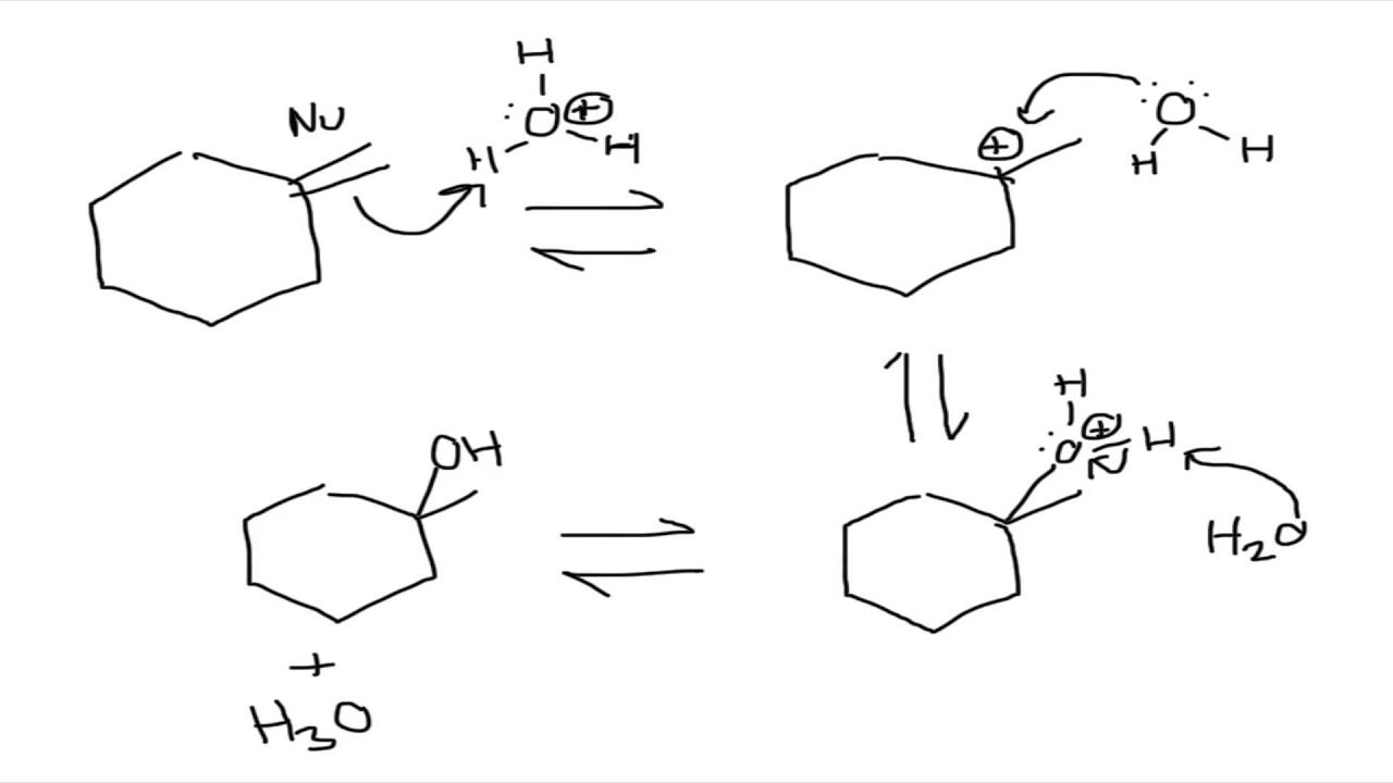 Hydration Alkenes Mechanism Chapter Reactions Ppt Powerpoint ...