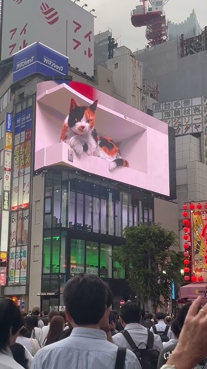 3D Billboard in Shinjuku Japan is Crazy! - YouTube