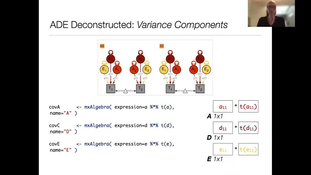 Twin Models using OpenMx Part 4: Estimating variances vs. paths - YouTube