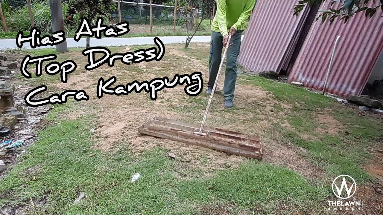 [25] Asas kerja hias atas (top dress) rumput karpet - YouTube