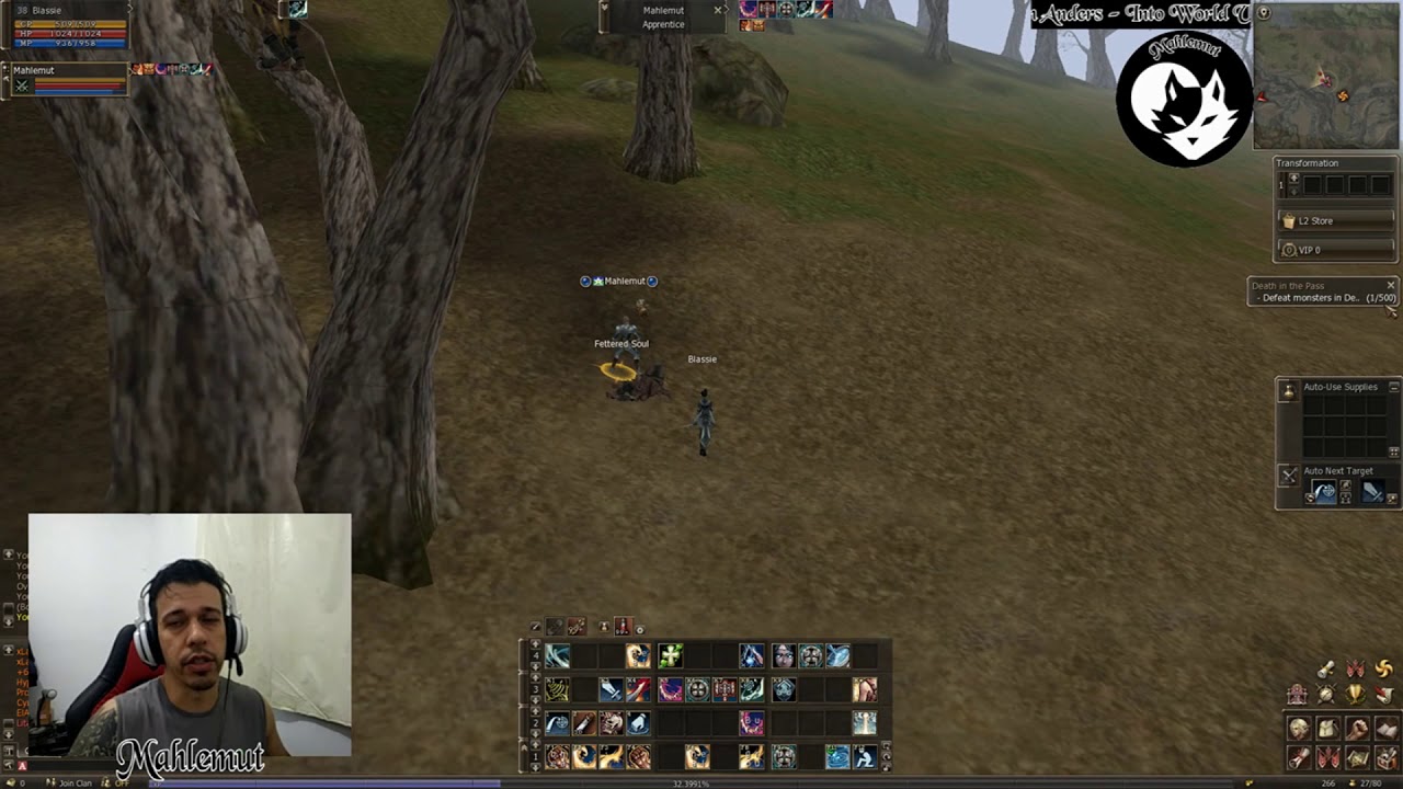 Lineage 2 Classic - Quest Death in the Pass - YouTube