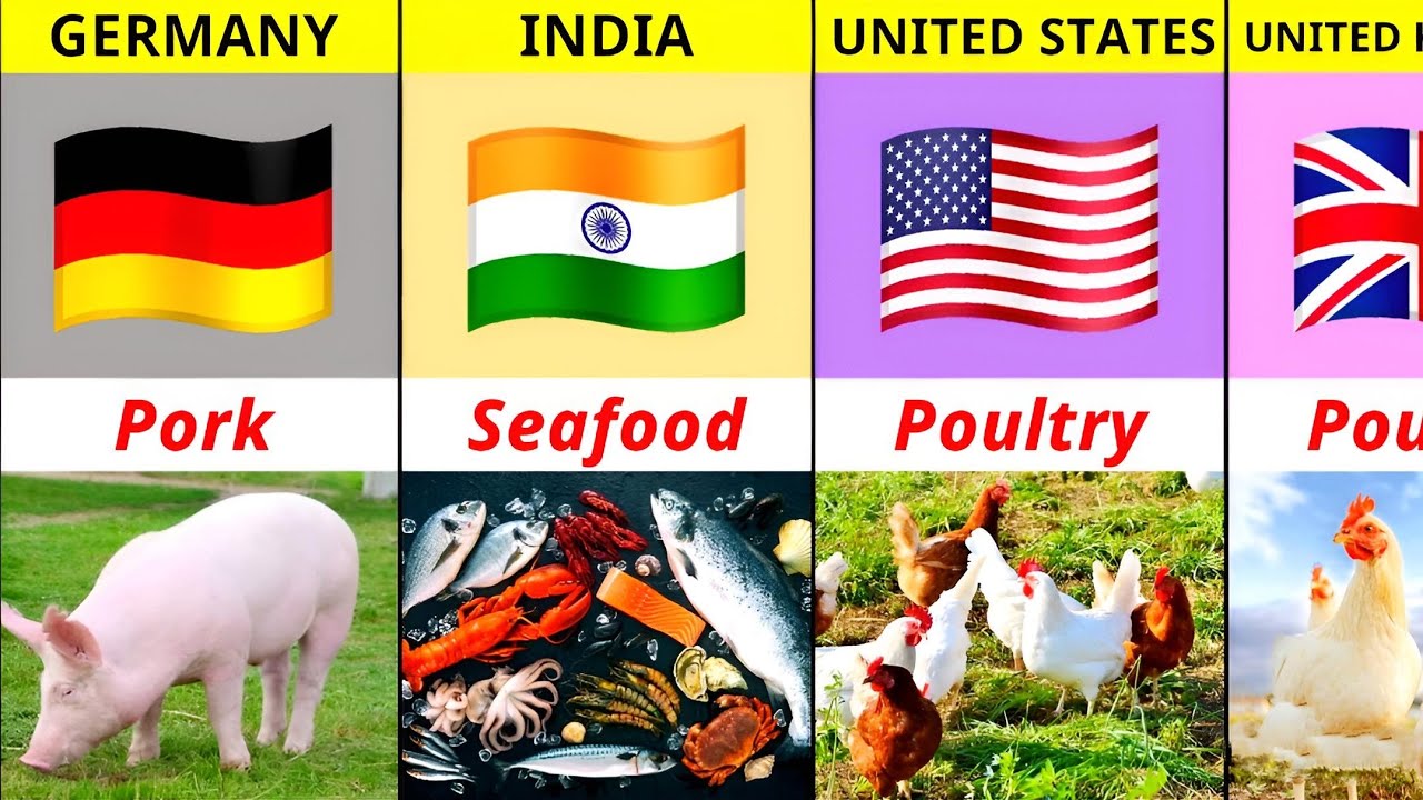 Most Consumed Meat From Different Countries Across the World 🌎 - YouTube