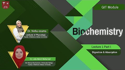 GIT Biochemistry Lectures 2020 - 2025 - YouTube