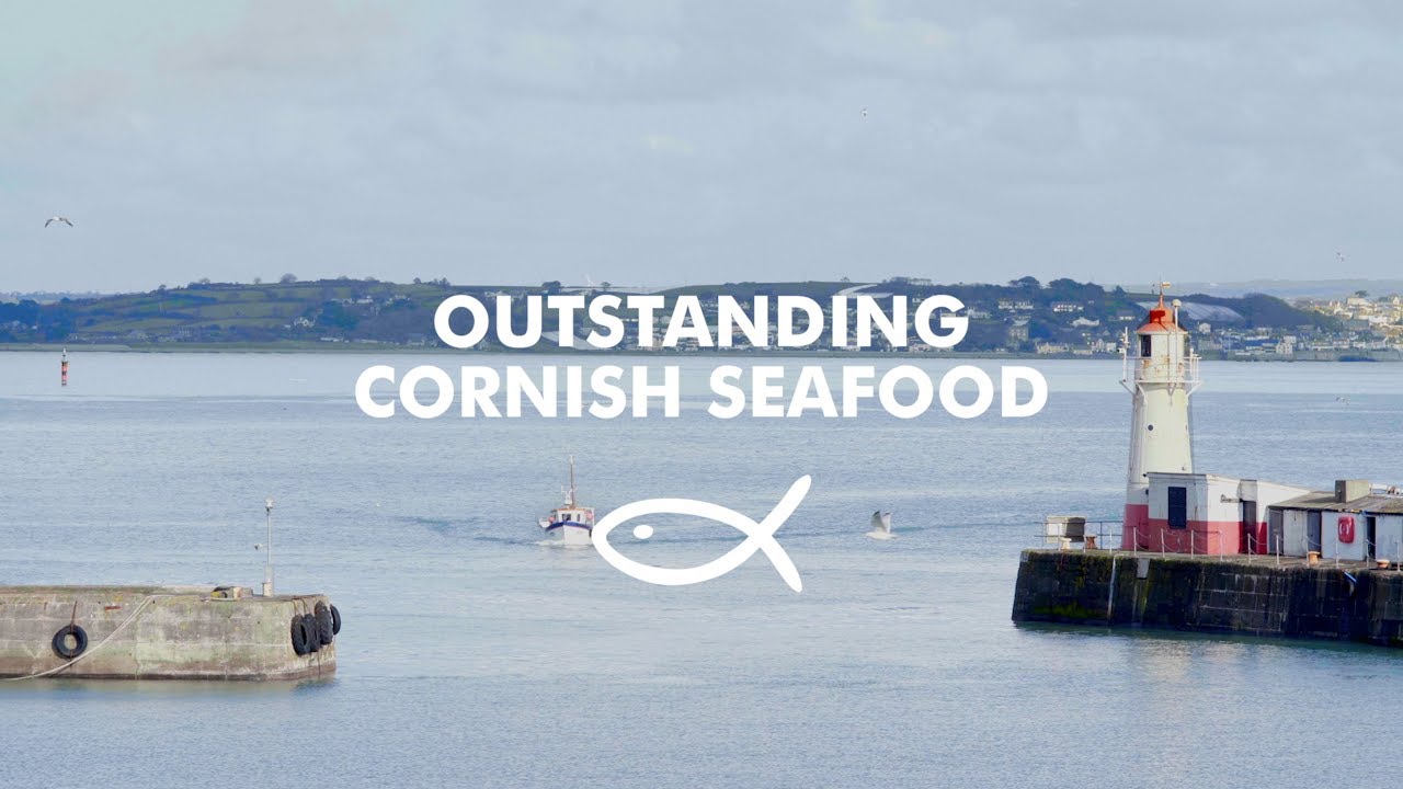 Outstanding Cornish seafood delivered to your door - YouTube