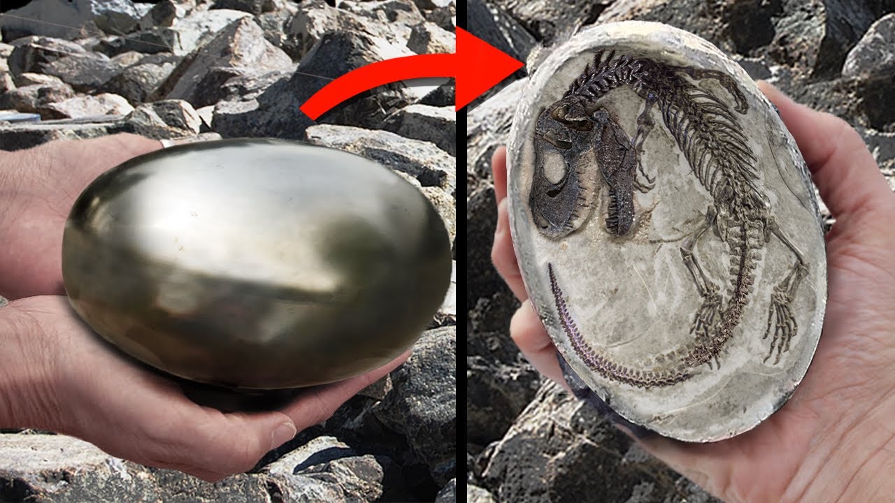 This Archaeologist Couldn't Believe What He Found Inside This Shiny ...