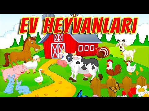 EV HEYVANLARI | Səsləri ilə