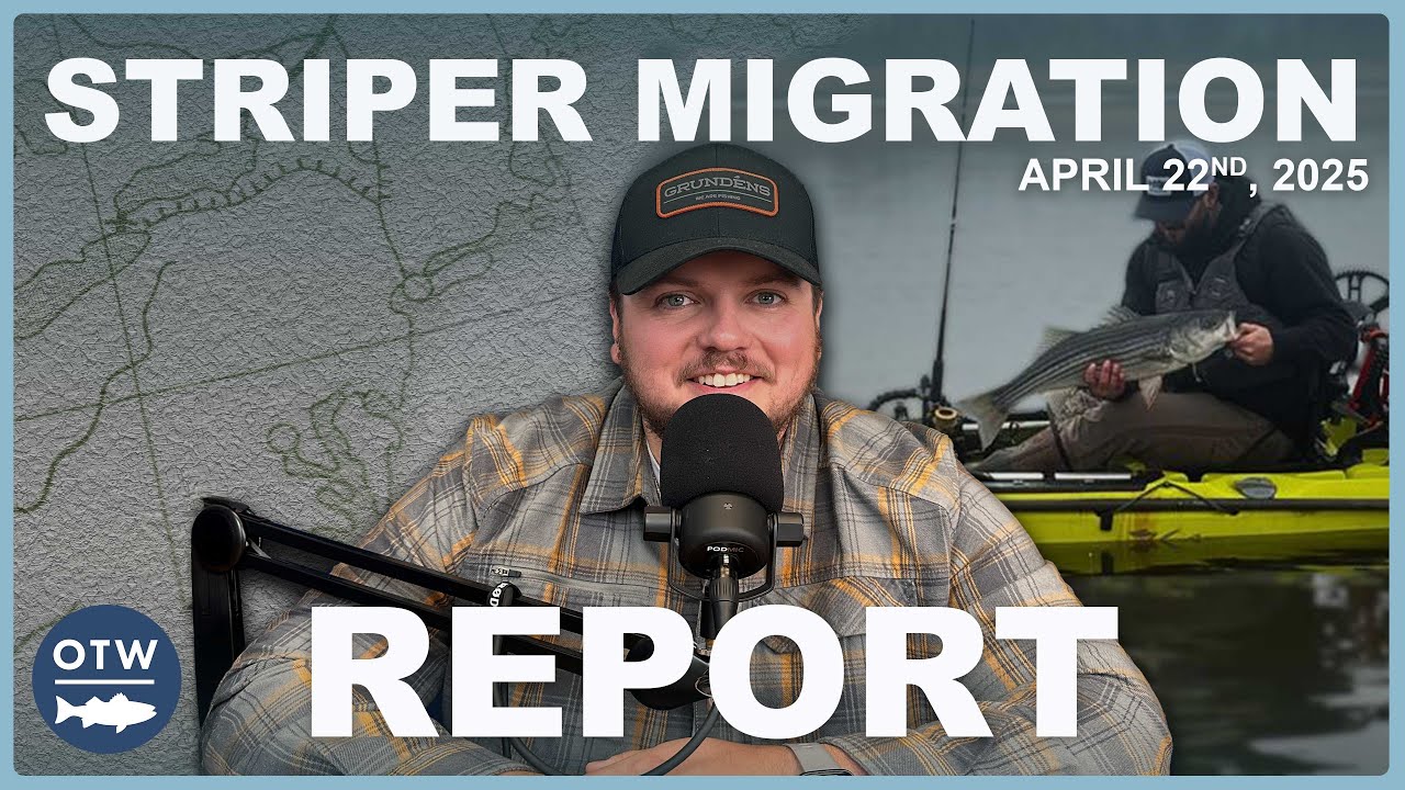 Striper Migration Report | April 22nd 2025 - YouTube