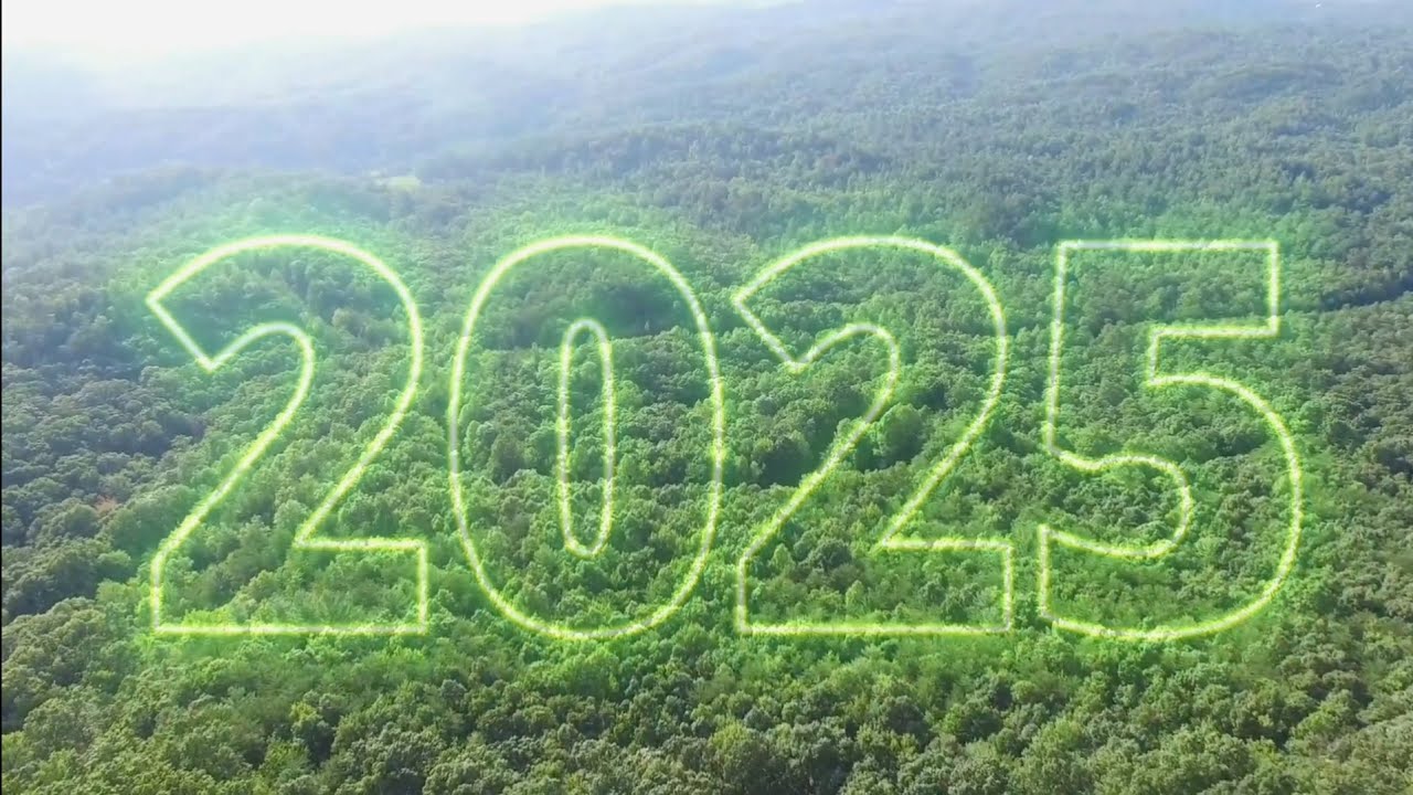 2025 - YouTube