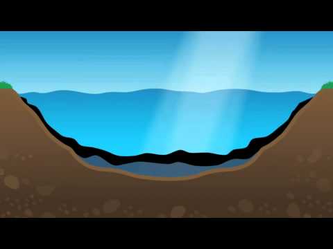 Pond Turn Over - YouTube