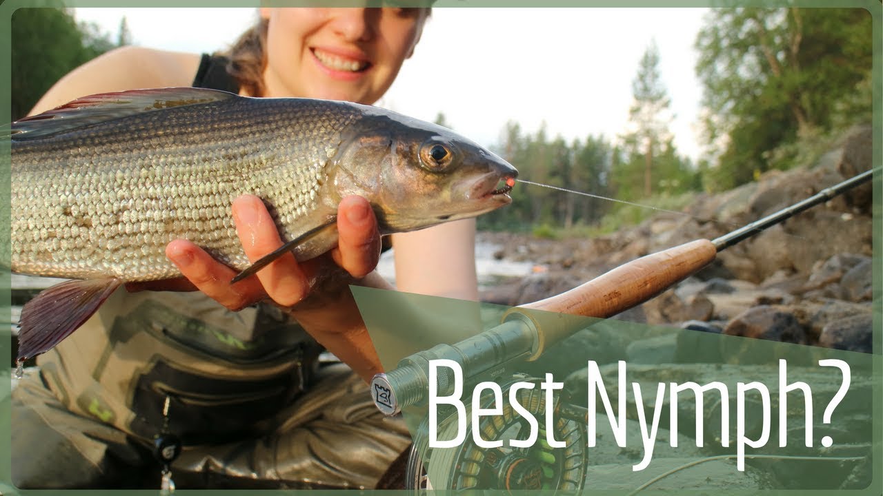 Fly fishing Norway – Grayling Nymphs - YouTube