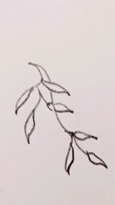 How to draw leafs 🍃 step by step كيفية رسم ورق شجر خطوة بخطوة - YouTube
