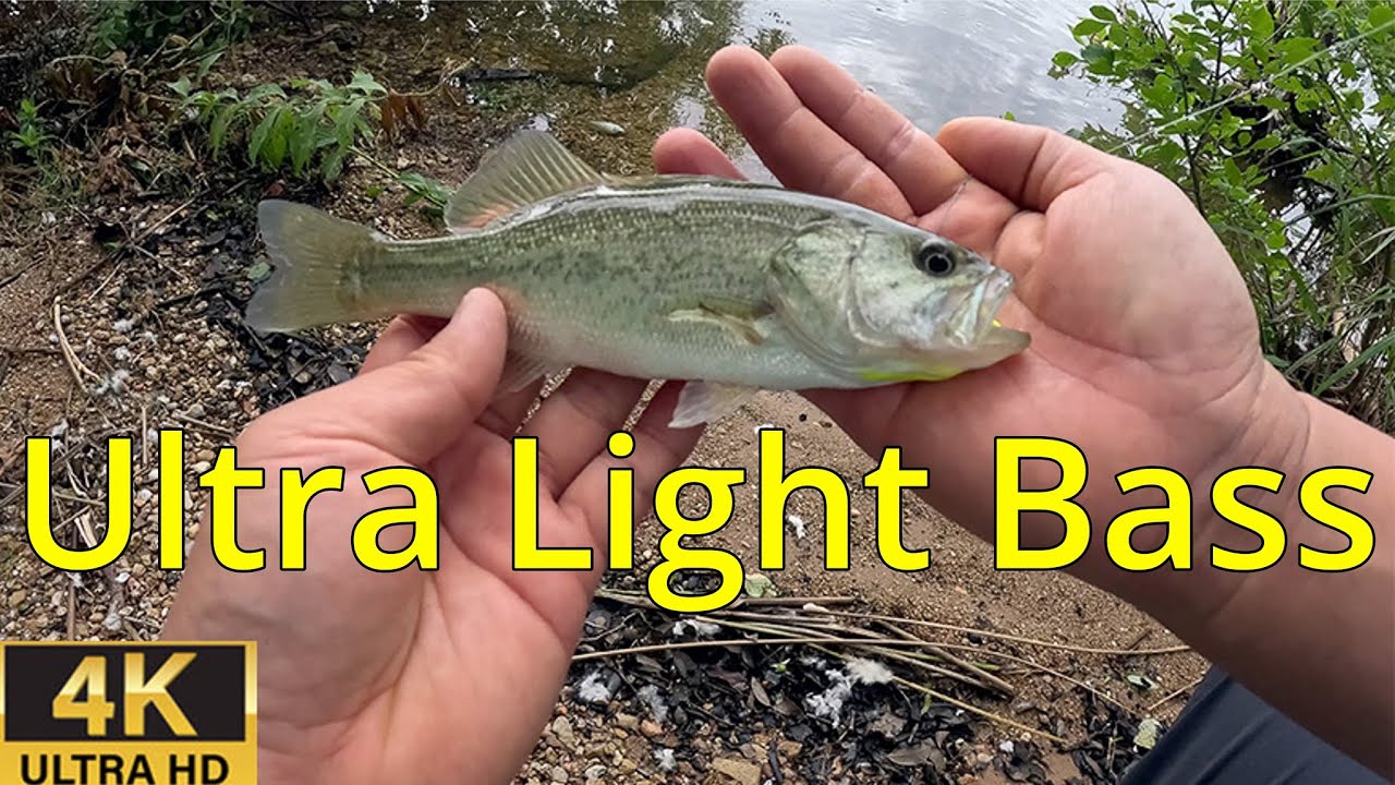 Hunting and Catching Bass | Bass Pro Shops Micro Lite Elite Field Test ...
